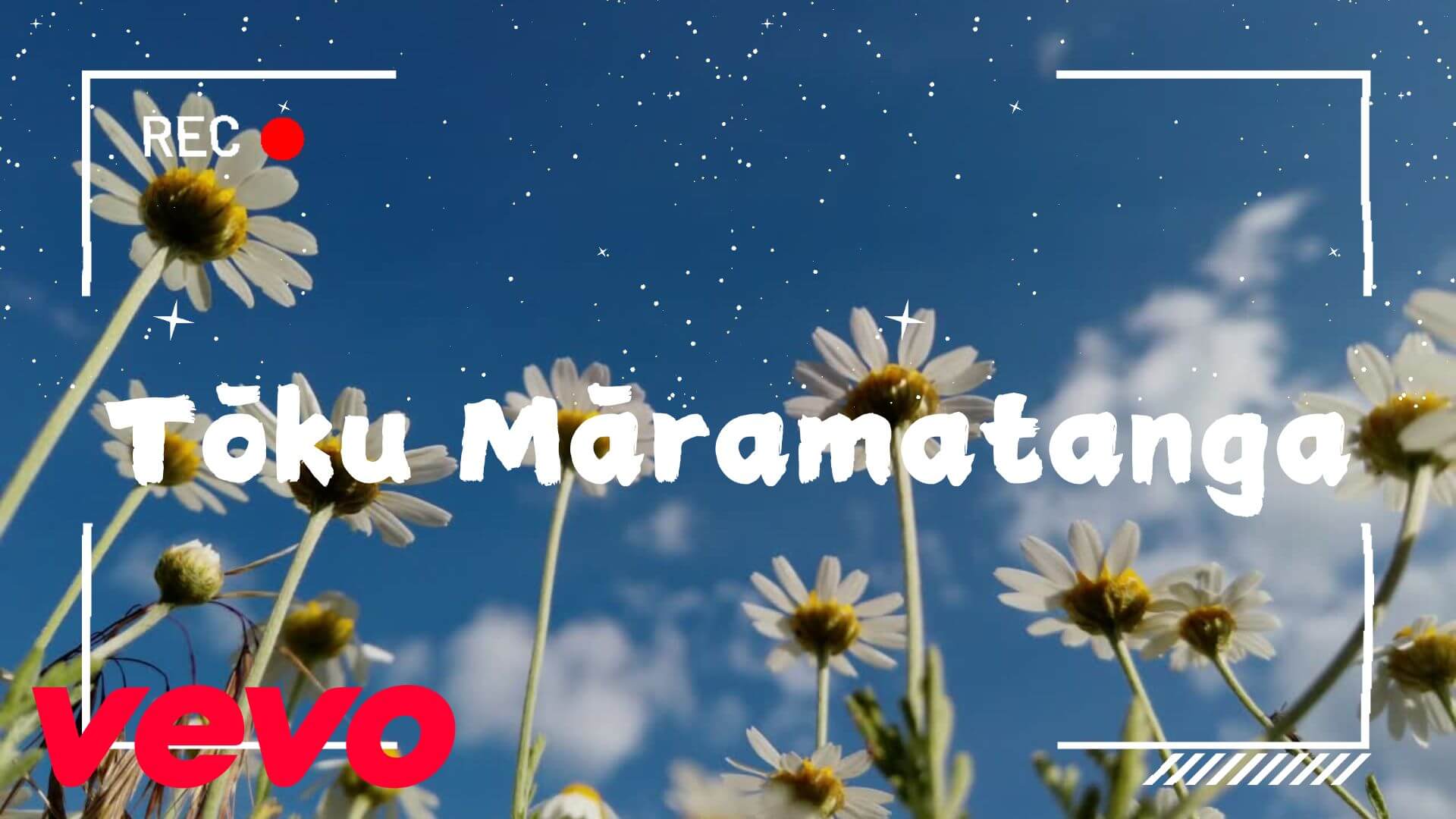 Documentary: Austronesian includes Māori origins in Taiwan? | National ...